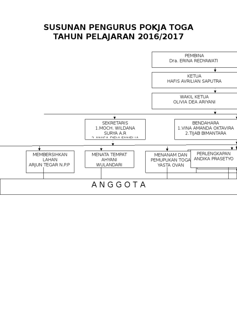 1.struktur Organisasi Pokja TOGA | PDF