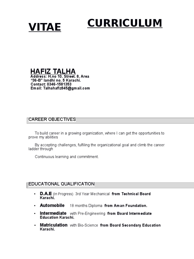 Curriculum Vitae: Hafiz Talha | PDF