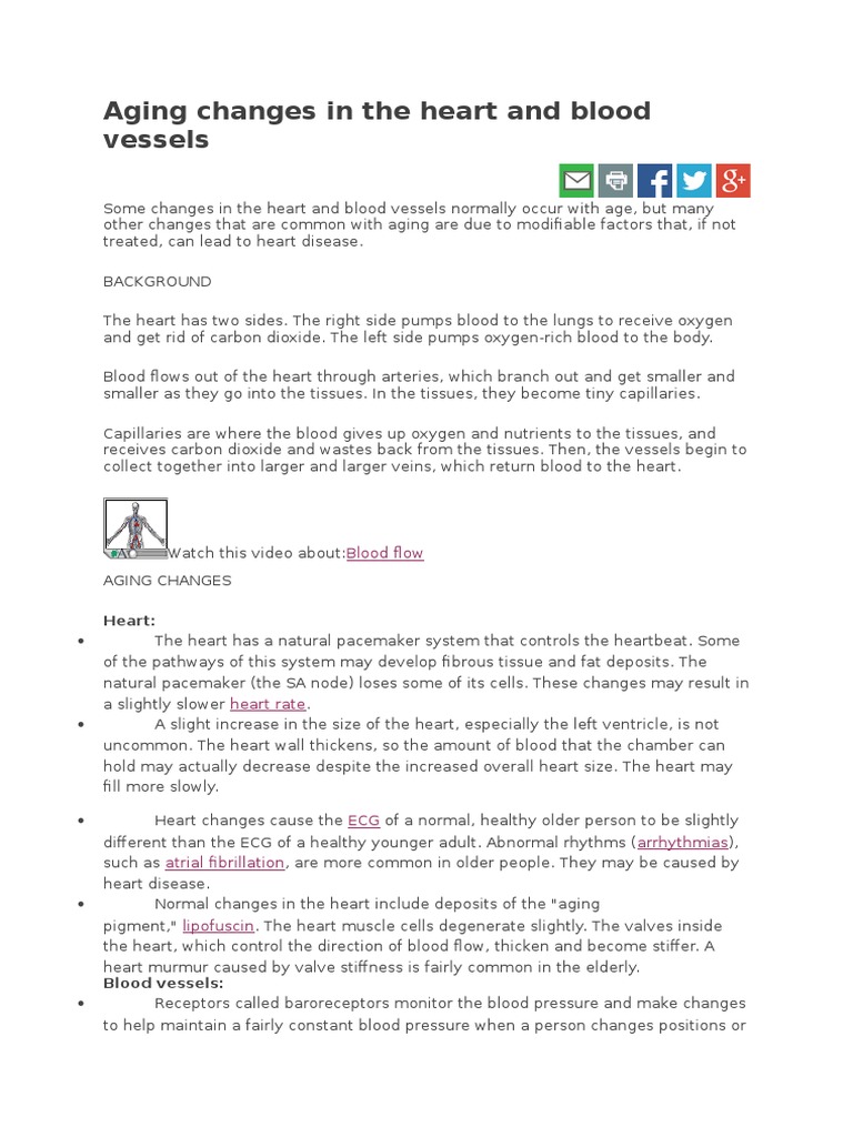 Aging Changes in The Heart and Blood Vessels | PDF | Heart ...