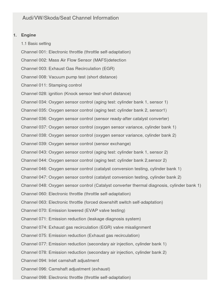 VAGCOM Audi VW Skoda Seat Channel Information | PDF | Throttle | Fuel ...