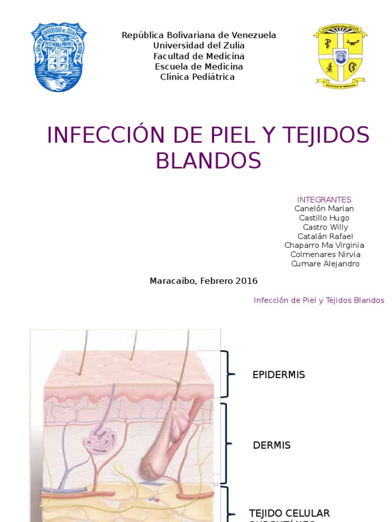 Infeccion de piel y partes blandas -SEMINARIO | Vacunas | Salud pública
