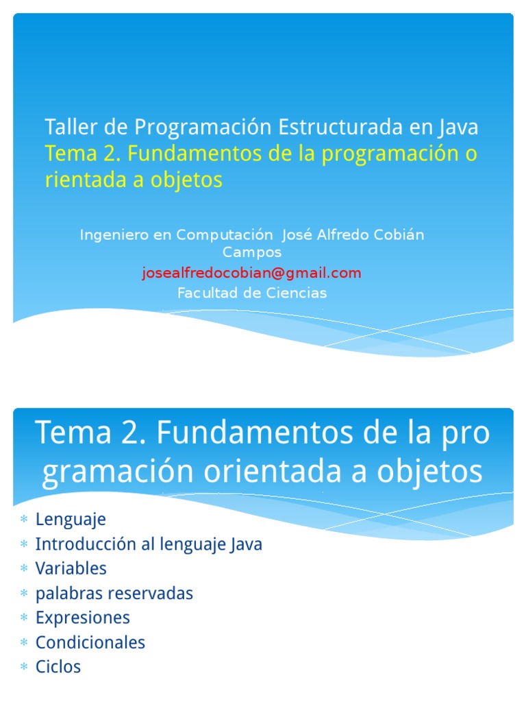 02 Tema 2 Fundamentos de La Programacion Orientada A Objetos | PDF | Java (lenguaje de ...