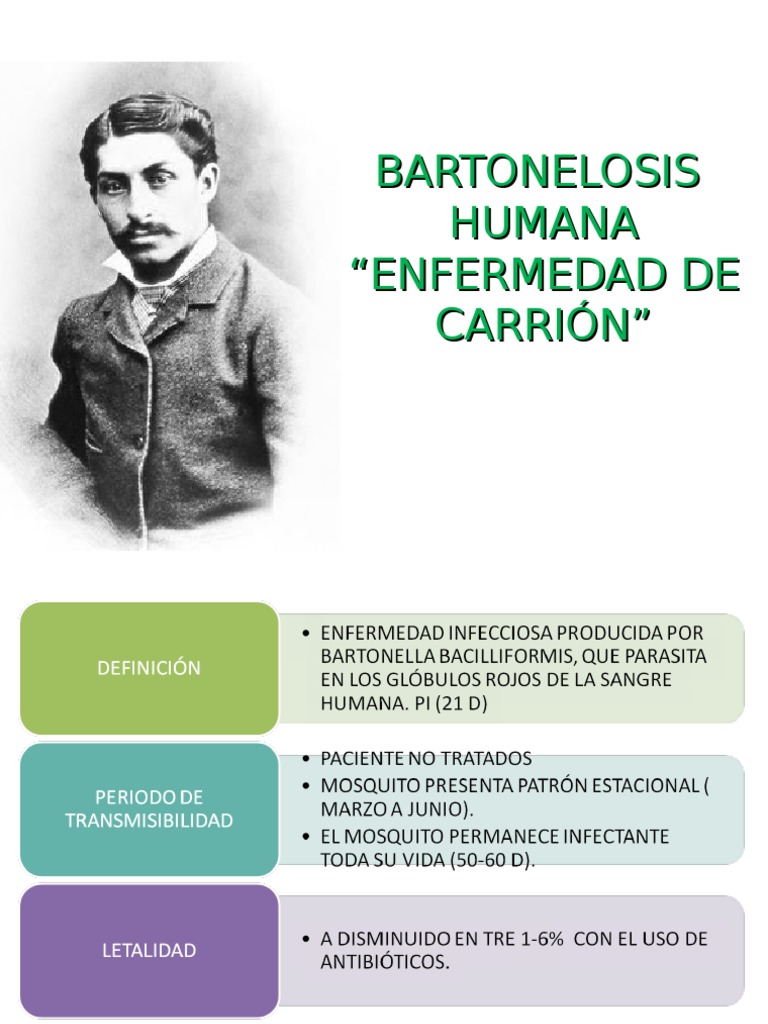 Bartonelosis | PDF | Patologia clinica | Epidemiología