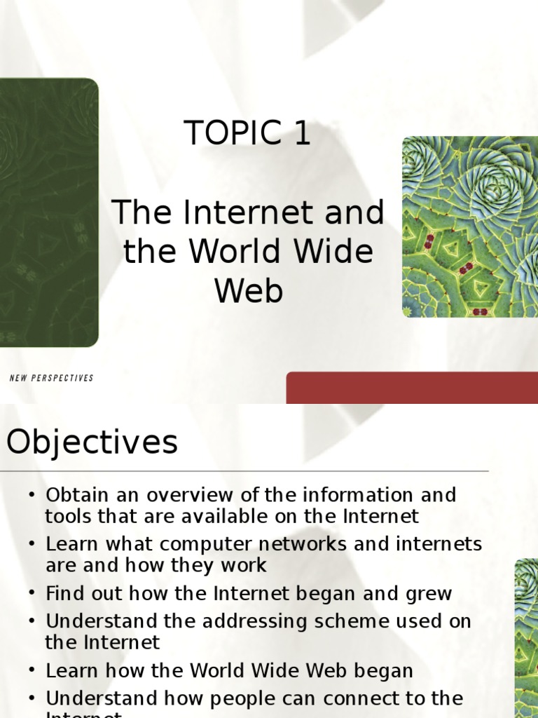 Topic 1 The Internet and The World Wide Web | PDF | Digital Subscriber ...