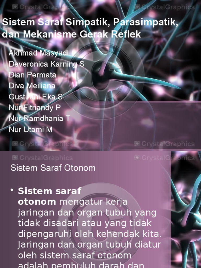 Sistem Saraf Simpatik, Parasimpatik, Dan Mekanisme Gerak Reflek | PDF ...