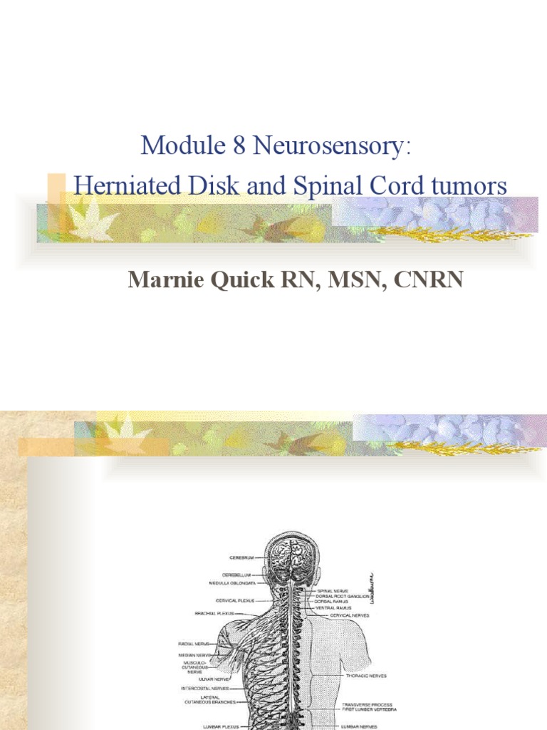 ppt hnp | Spinal Cord | Medicine