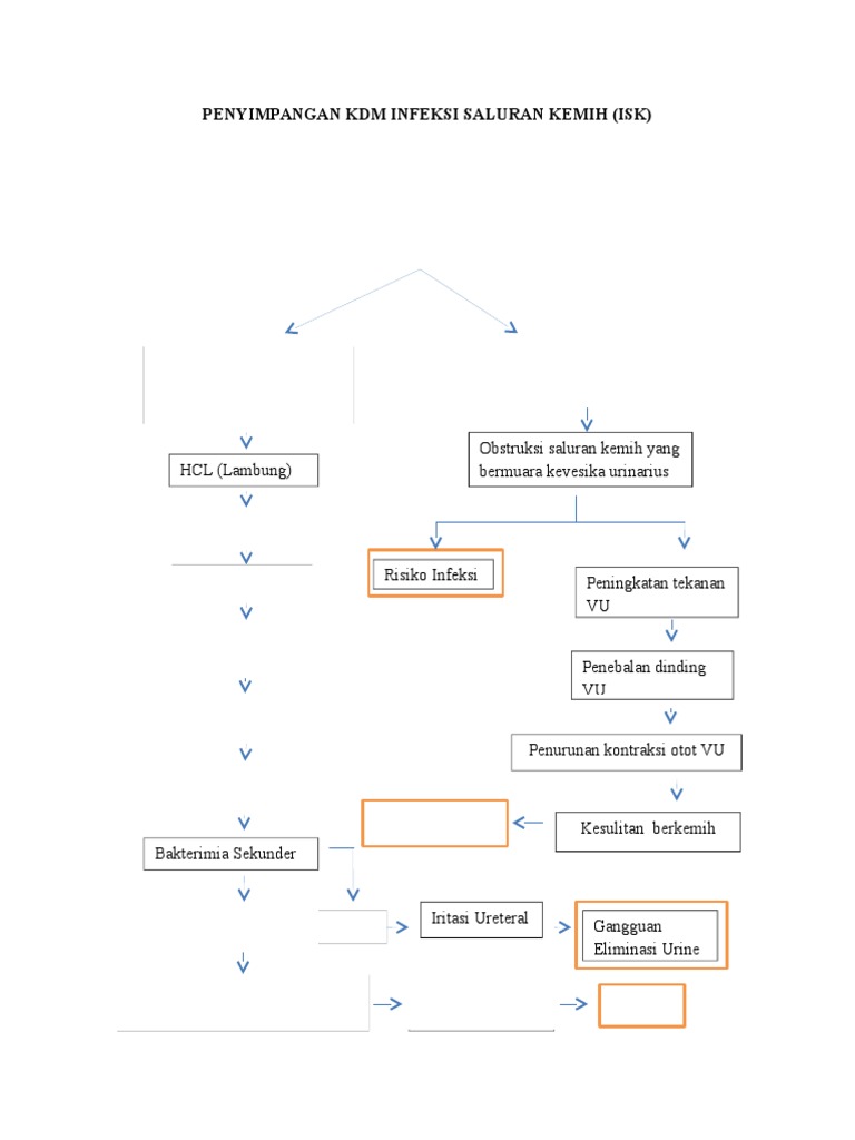 Faktor Risiko dan Mekanisme Patogenesis Infeksi Saluran Kemih | PDF