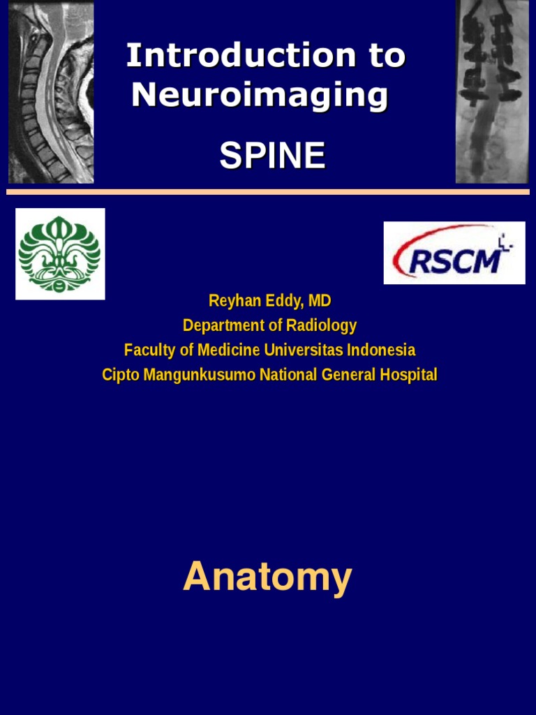Introduction To Neuroimaging | PDF | Vertebral Column | Neurology