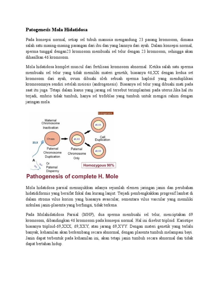 Pathogenesis Mola Hidatidosa | PDF