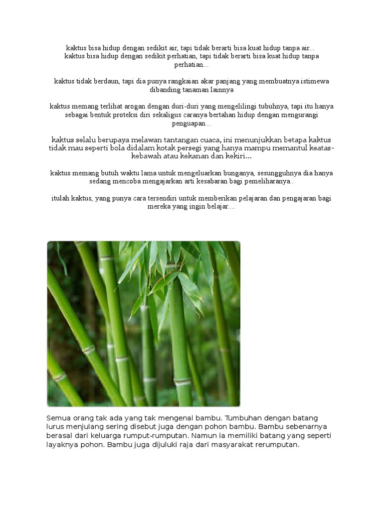 Filosofi Tumbuhan | PDF