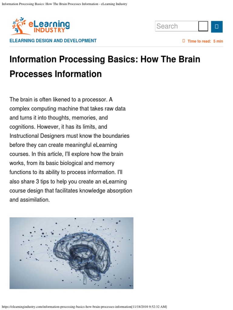 Information Processing Basics | PDF | Memory | Information Processing