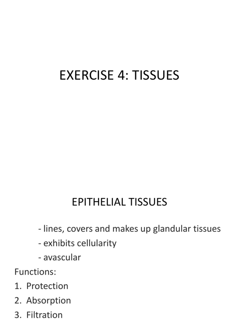 8.31 Exercise 4 - Tissues | PDF | Epithelium | Tissue (Biology)