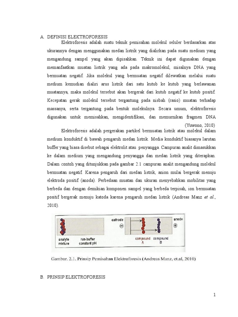 Makalah Elektroforesis | PDF