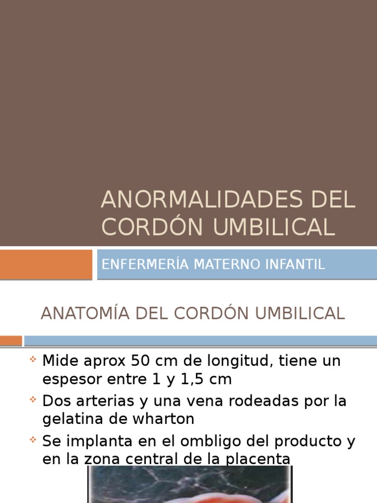 Anormalidades del cordón umbilical: causas, consecuencias y manejo ...