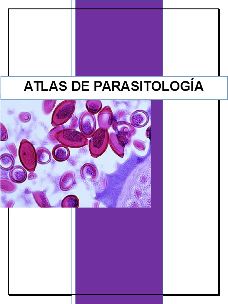 Un atlas completo de parásitos: una guía visual esencial de la ...