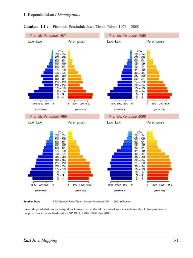 DINAMIKA Piramida PENDUDUK PDF | PDF