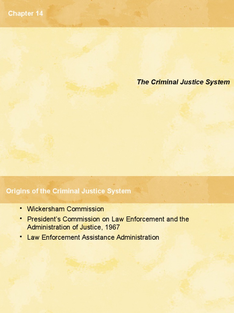 Criminal Justice System | PDF | Criminal Justice | Crime & Violence
