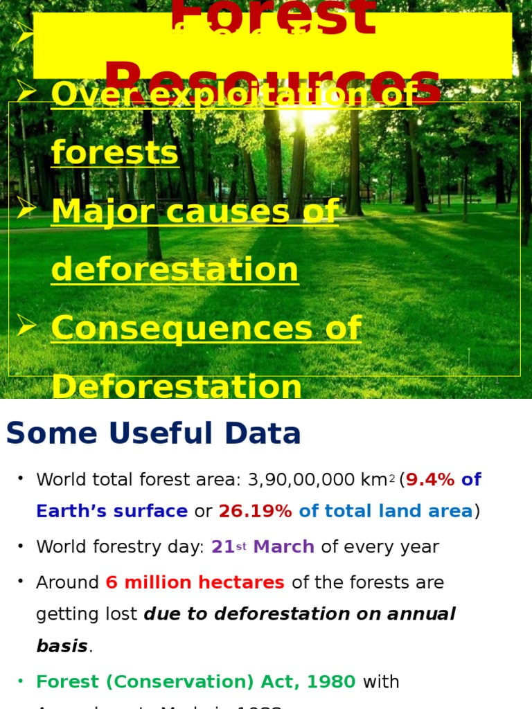 Forest Resources | PDF | Deforestation | Forests
