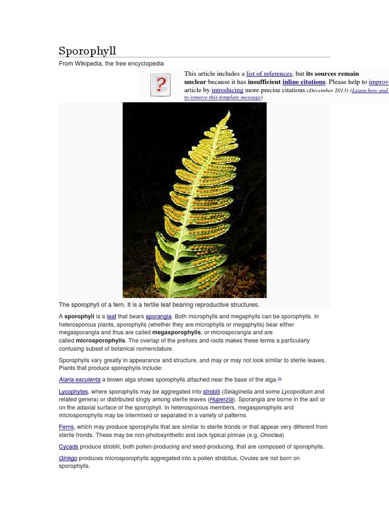 Sporophyll: From Wikipedia, The Free Encyclopedia | PDF