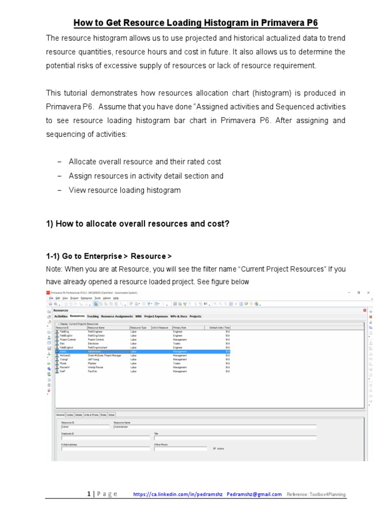 Histogram in Primavera p6 | PDF | Resource | Labour Economics