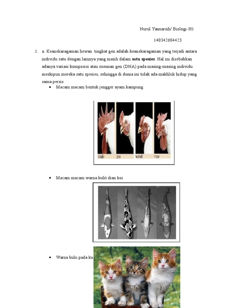 Fenomena Keanekaragaman Hewan Tingkat Gen | PDF