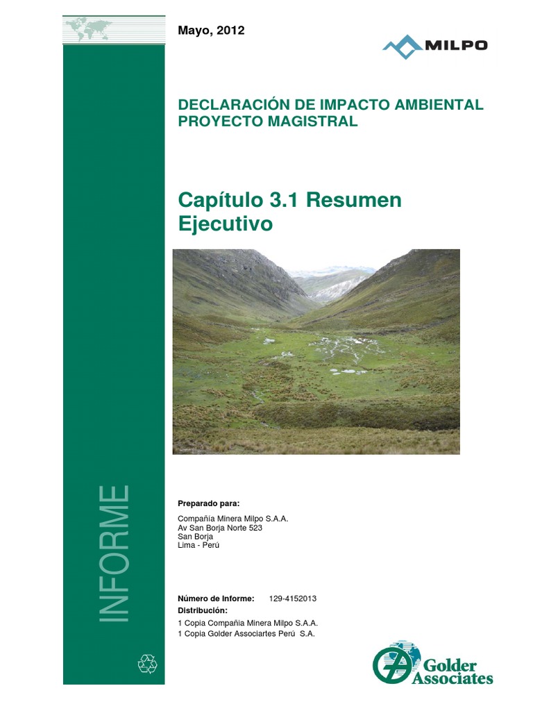 3.1 - Resumen - Ejecutivo - DECLARACION DE EIA PDF | PDF | Minería | Regulación