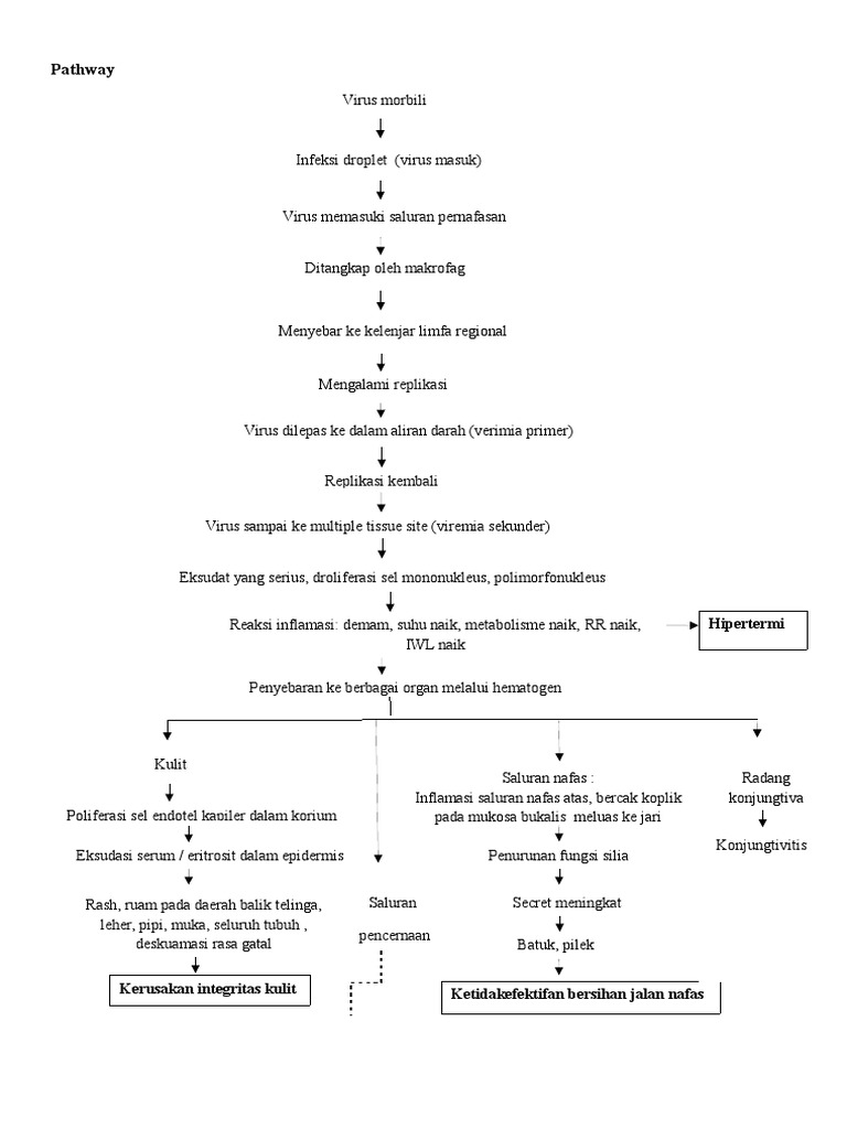 Pathway Morbili | PDF