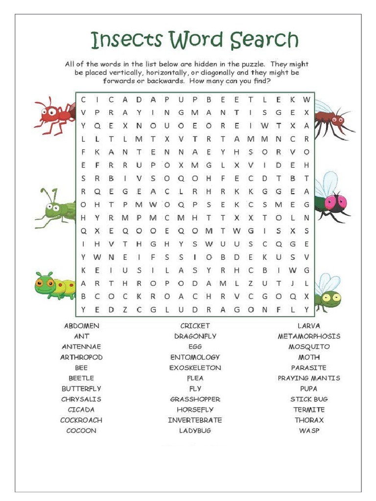 Word Search Insects | PDF