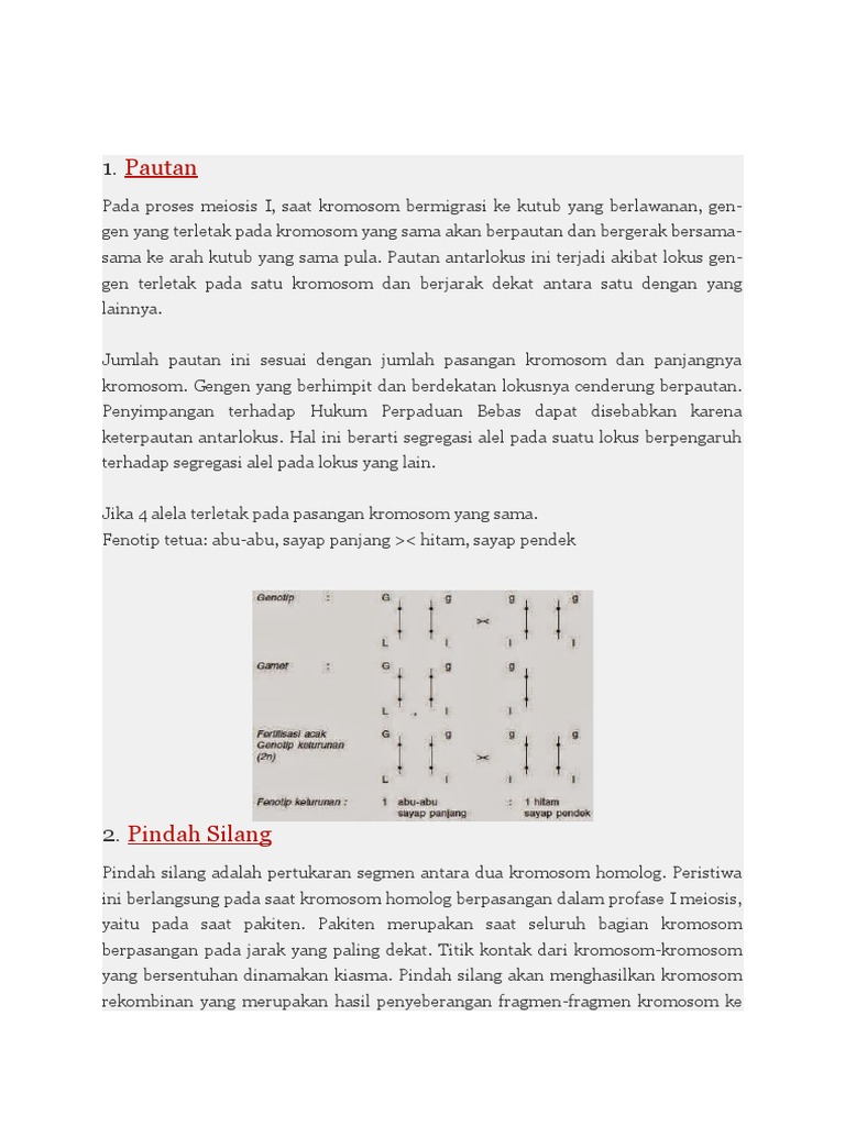 Genetika: Pautan & Pindah Silang | PDF