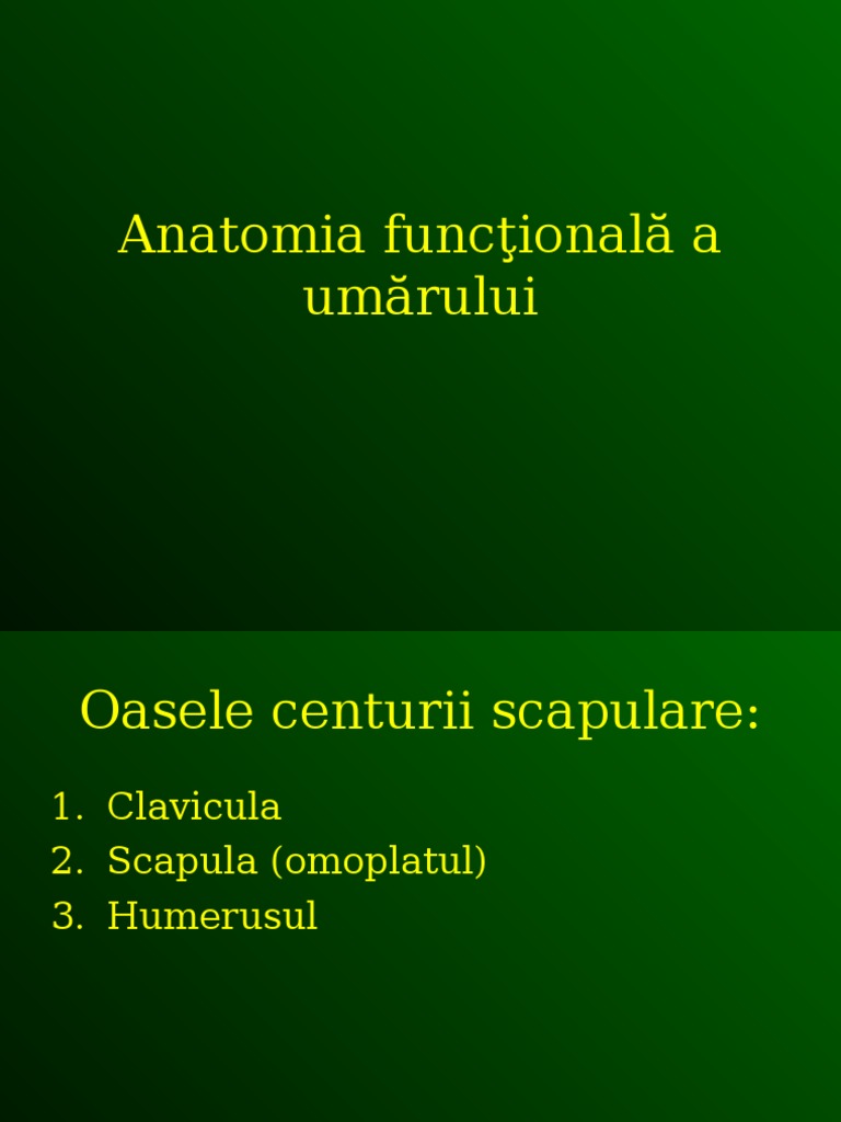 Curs 5 - Anatomia Functionala A Umarului | PDF