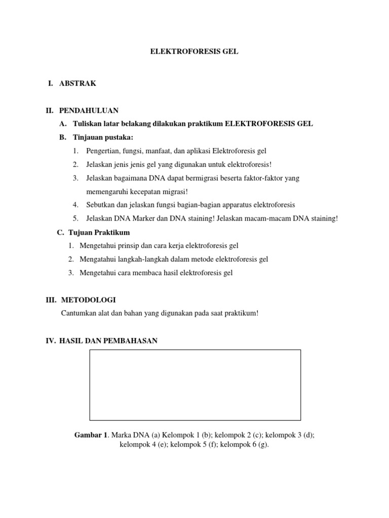 Format Laporan Elektroforesis | PDF