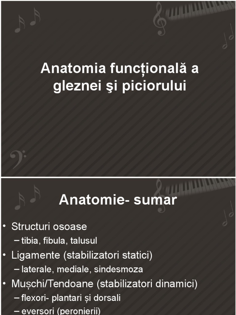 Curs 4 - Anatomia Funcţională A Gleznei Şi Piciorului | PDF