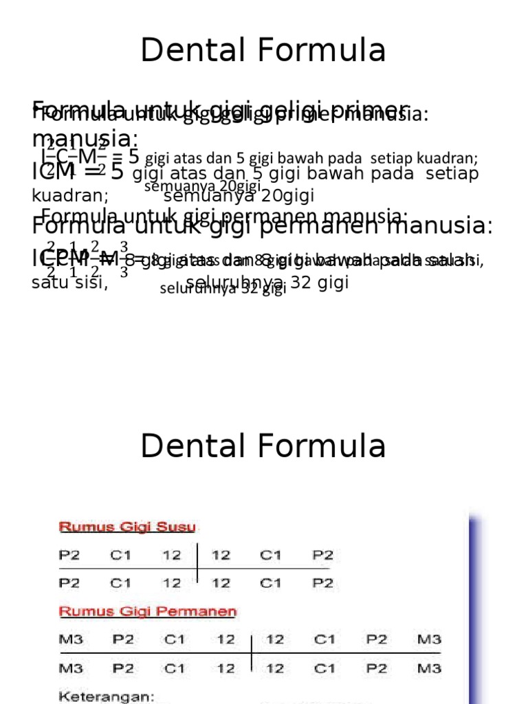 Struktur dan Penomoran Gigi Manusia | PDF | Kajian Bahasa Asing | Sains ...
