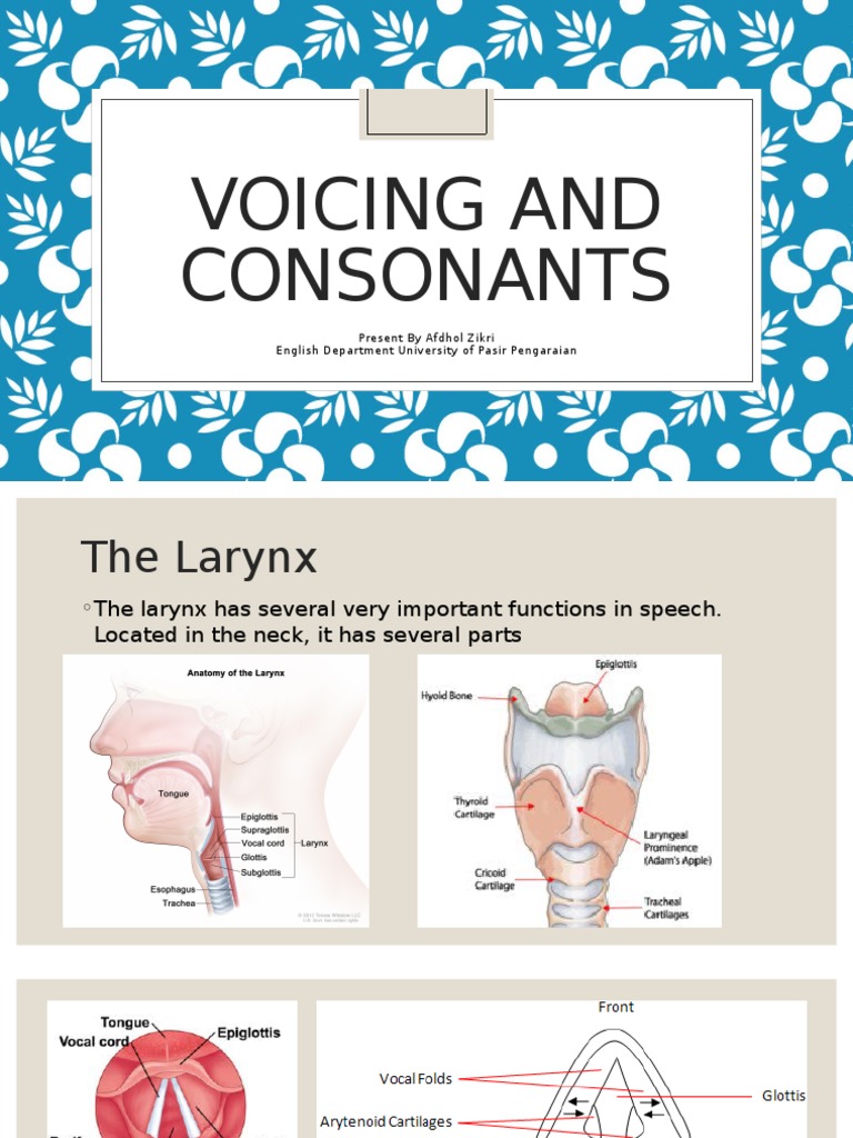 Voicing and Consonants | Larynx | Languages
