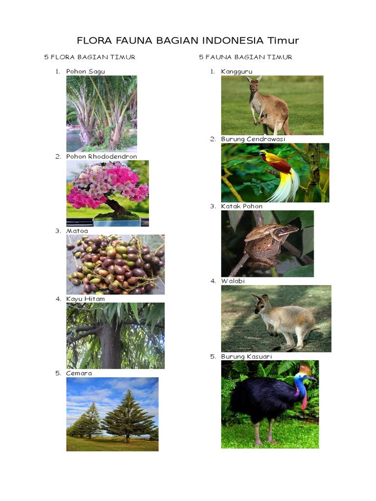 Flora dan Fauna Indonesia Timur | PDF