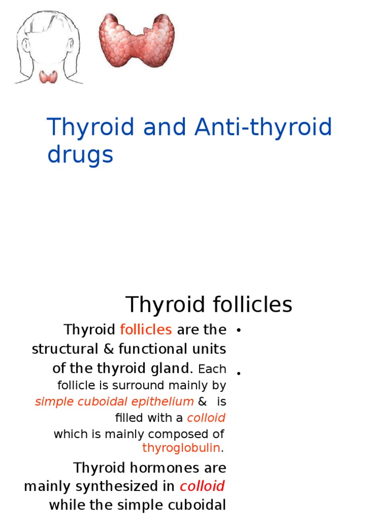 1-Thyroid and Antithyroid Drugs(This) | Thyroid | Hyperthyroidism