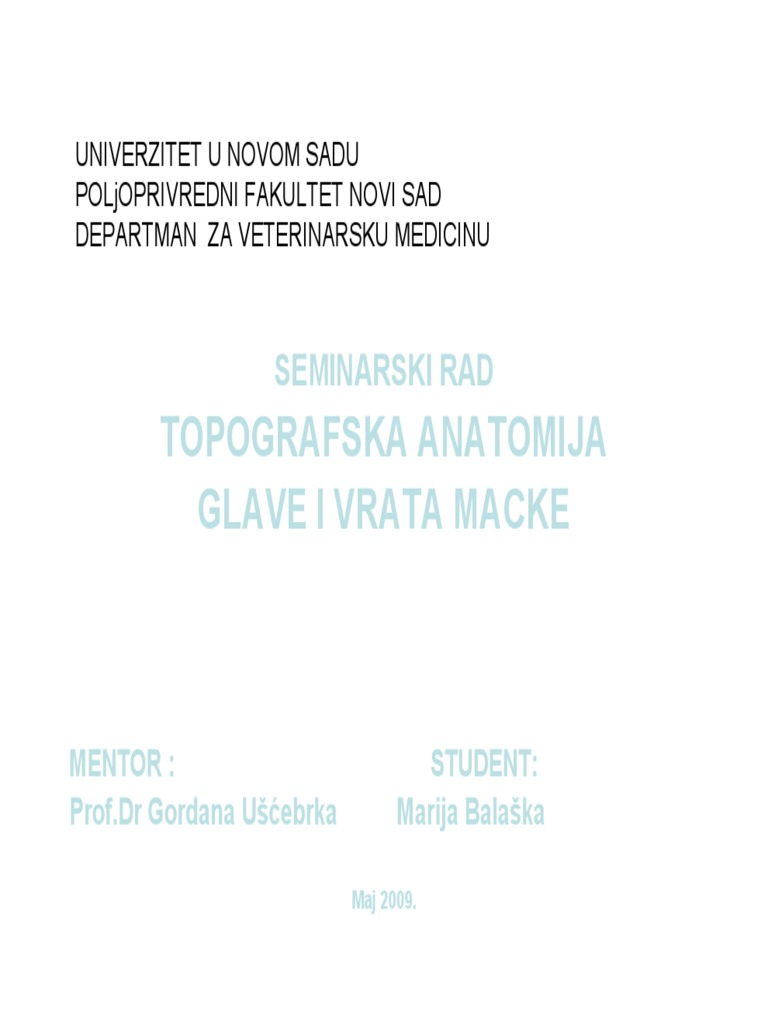 Topografska Anatomija Macke PDF | PDF