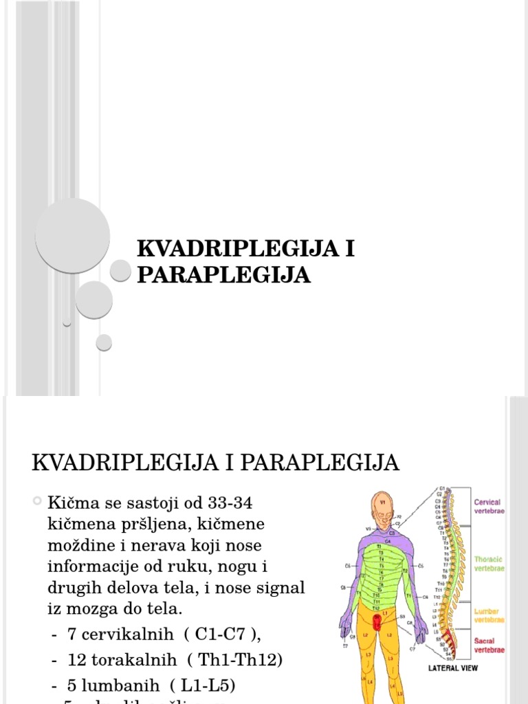 Kineziterapija Kod Kvadriplegija i Paraplegija