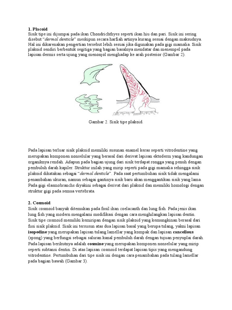 Tipe Sisik | PDF | Kajian Bahasa Asing | Sains & Matematika