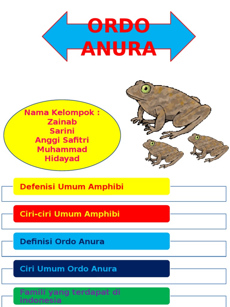 Ordo Anura | PDF