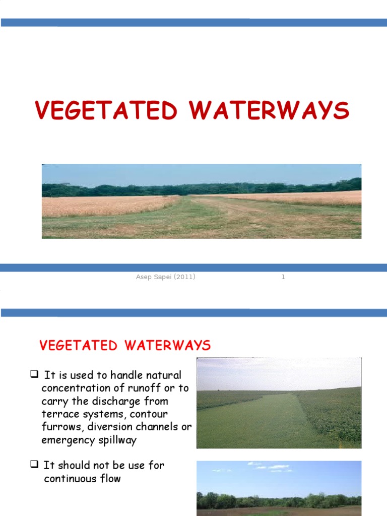 Kuliah 9 TKTA Vegetated Waterways | PDF | Applied And Interdisciplinary ...