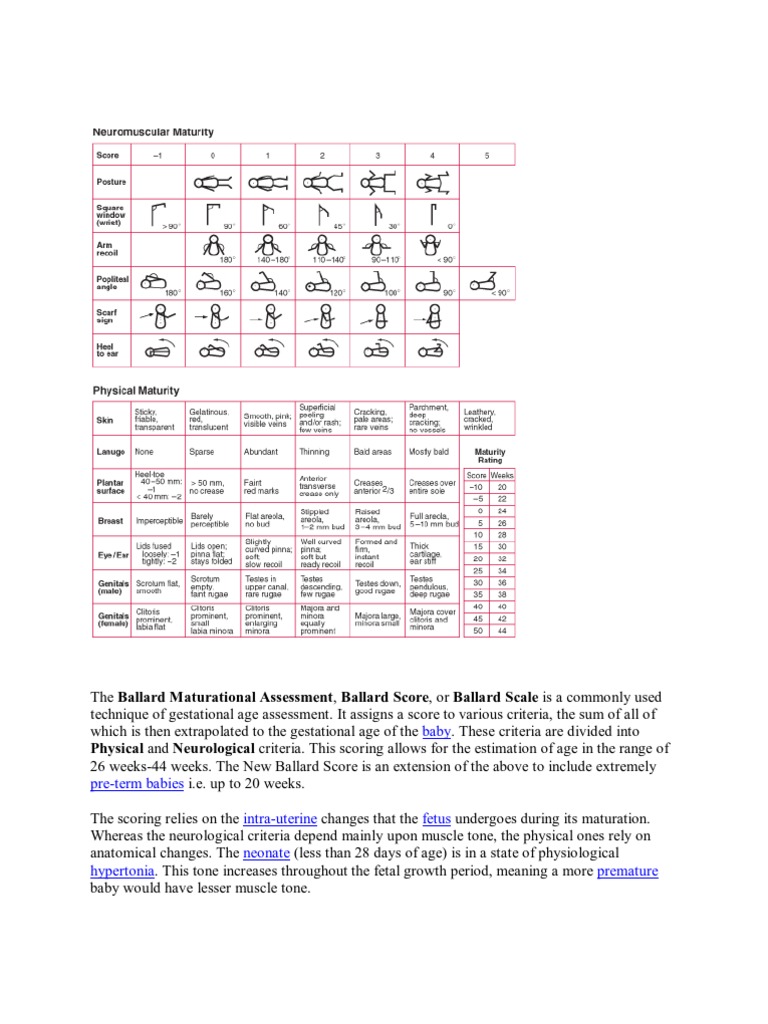 The Ballard Maturational Assessment | PDF | Wellness | Science ...