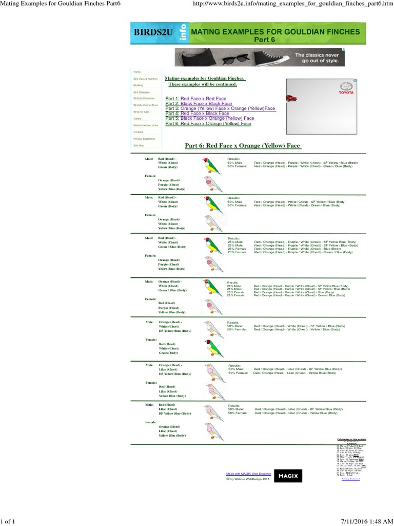 Mating Examples For Gouldian Finches Part6 PDF | PDF | Blue | Red