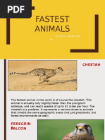 10 Fastest Animals in The World | PDF