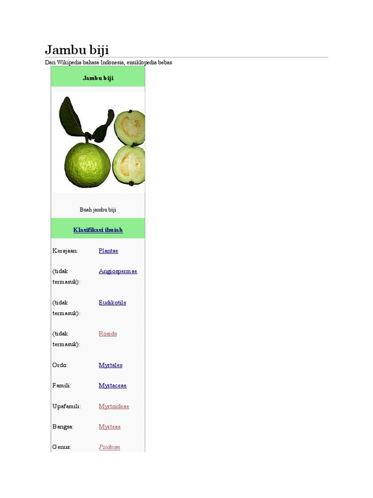 Taksonomi dan Morfologi Jambu Biji | PDF | Kesehatan Holistik