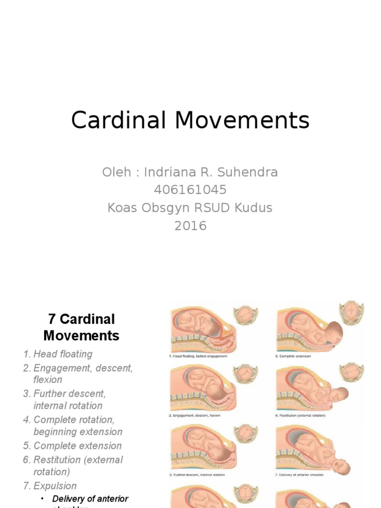 Cardinal Movements | PDF