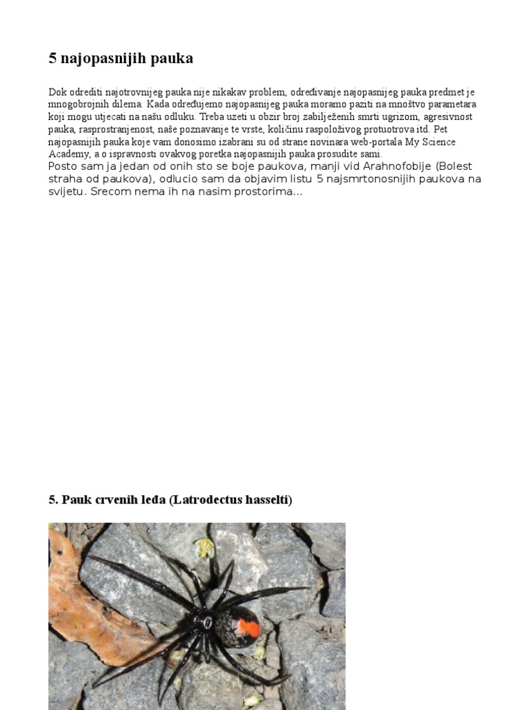 5 Najopasnijih i Najotrovnijih Pauka
