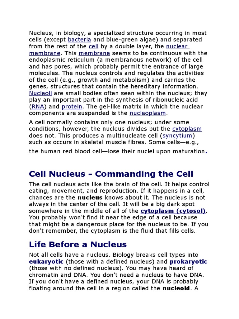 Cell Nucleus | PDF | Cell Nucleus | Cell (Biology)