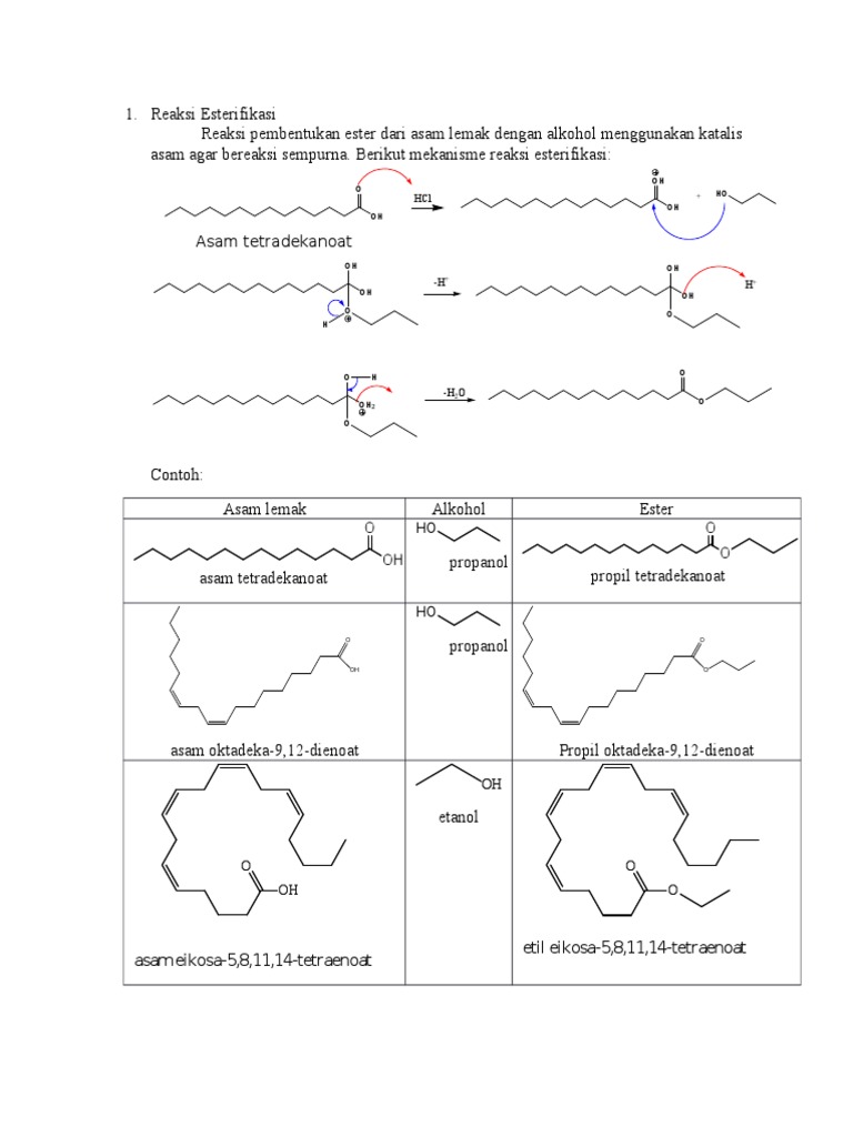 Reaksi Esterifikasi | PDF