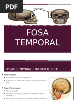 Anatomía Fosa Infratemporal | PDF | Anatomía humana | Cabeza y cuello ...